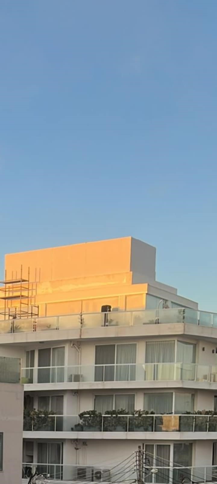 Christian Borg covers up his menagerie overnight following press ...