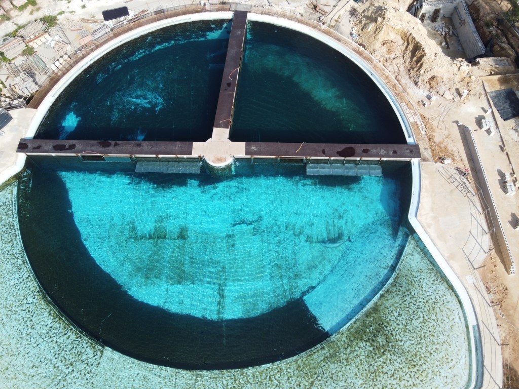 Watch the cruelty of dolphin-captivity in the Mediterraneo Marine Park ...