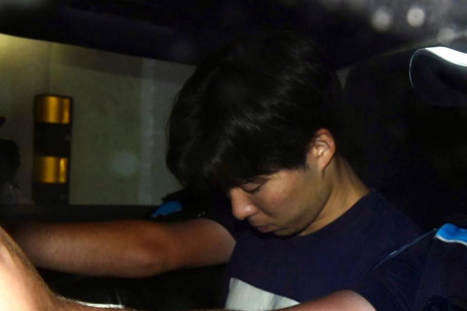 Japanese man pleads guilty to luring, killing cats - The Maltese Herald